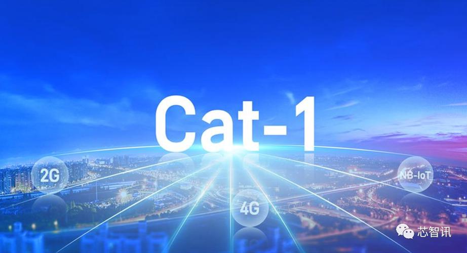 Cat.1技术的起源
