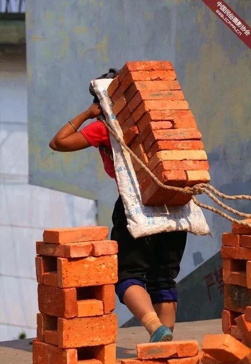 自动搬砖软件图标