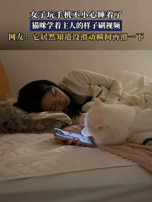 手机一直放视频睡着了截图