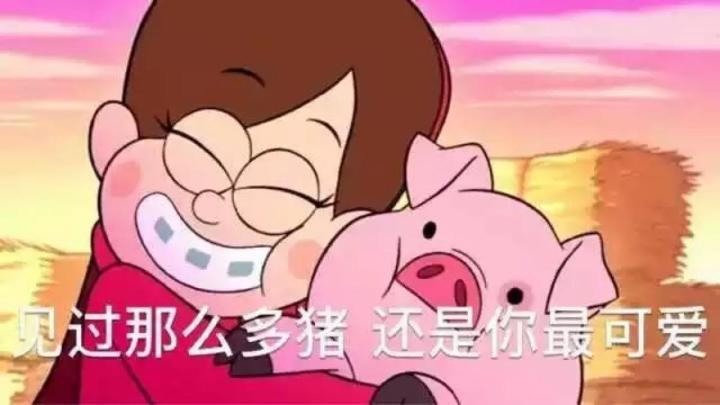 抱住猪猪表情包图标