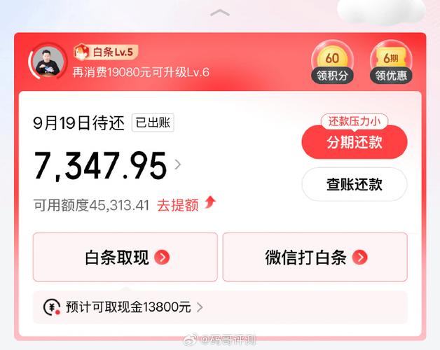 京东白条分期提前还图标
