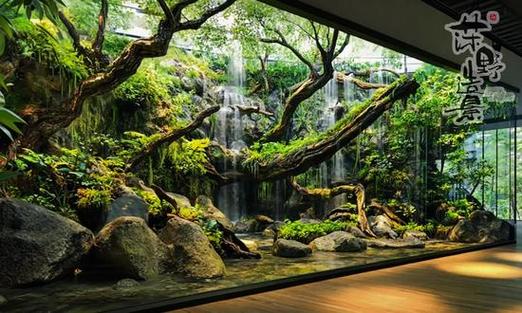 雨林造景鱼缸截图