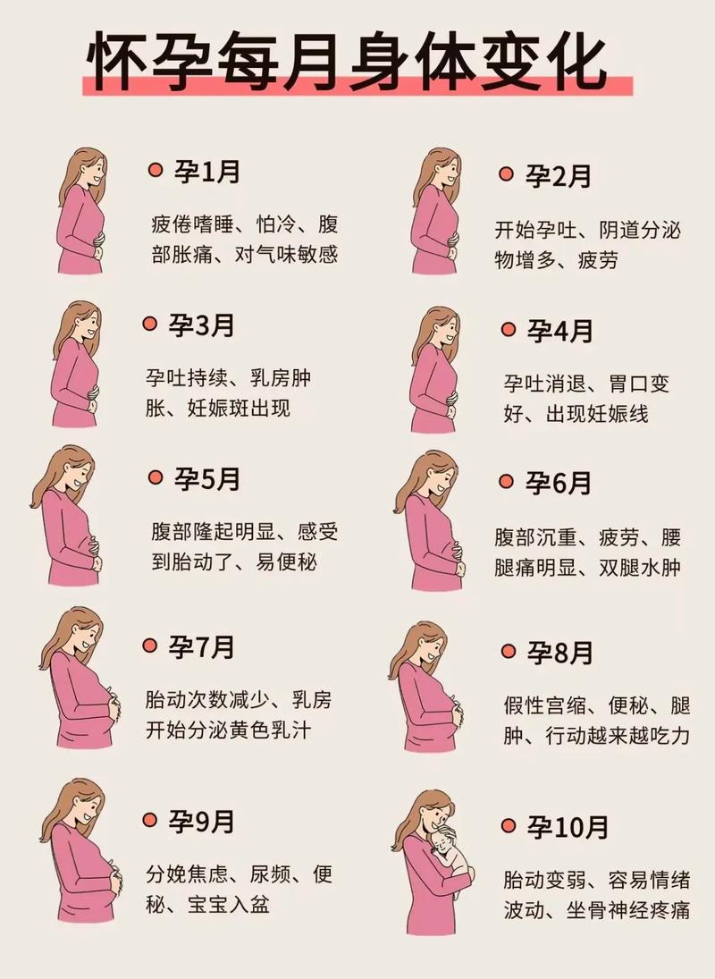 孕妇10月怀胎图图标