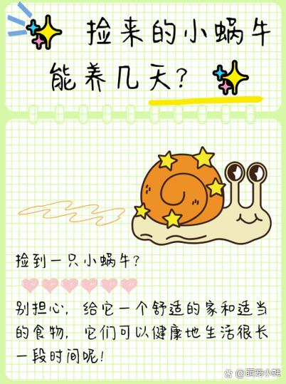 蜗牛可以在家里养吗图标