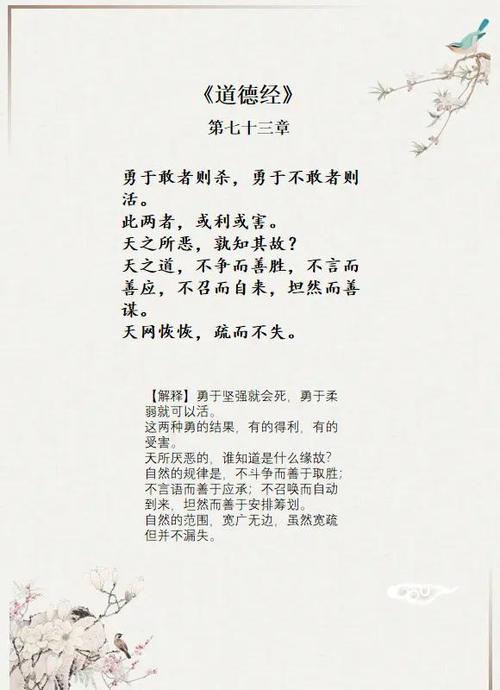 道德经全文及译文pdf截图