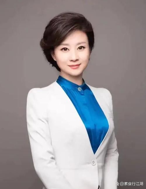 河南主持人连续图标