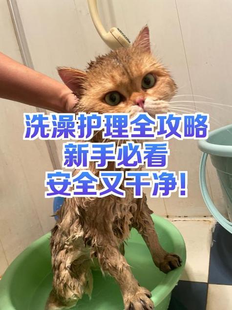 怎么洗澡又干净又快图标