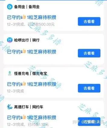 芝麻粒有必要攒吗图标