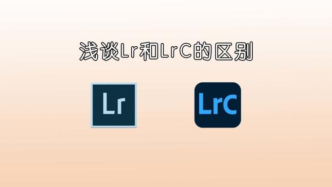 左右lr 知乎截图