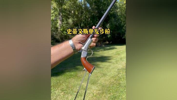 武昌起义谁打响了第一枪图标