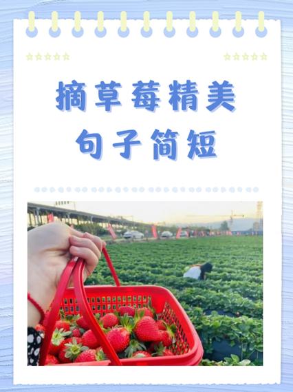 今天要去找草莓图标