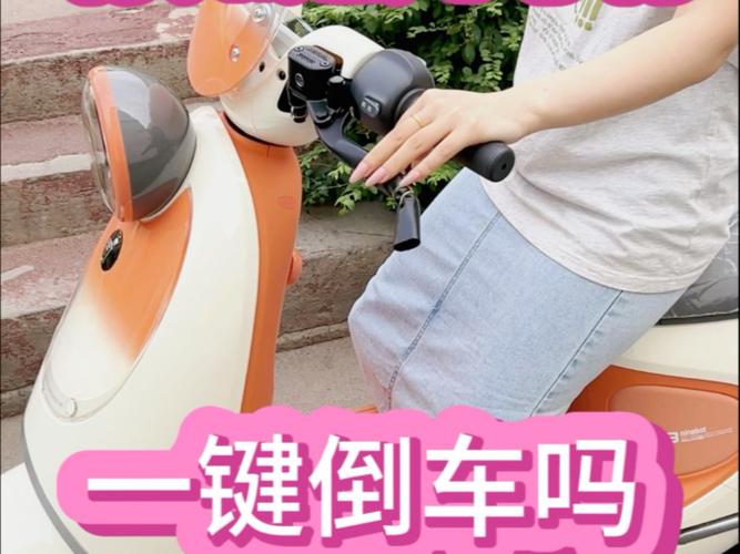 九号电动车一键倒车截图
