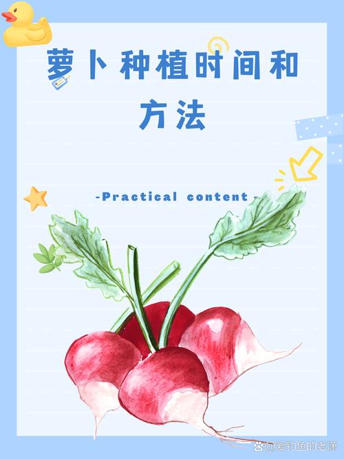 保卫萝卜4最短时间击败boss截图