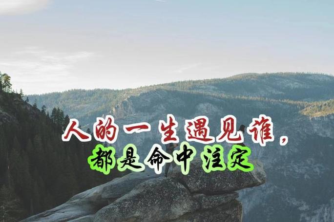 两个人的相遇绝非偶然图标