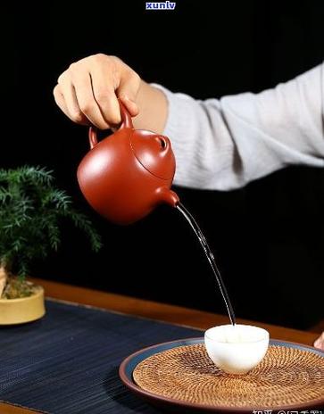 主泡器包括哪些图标