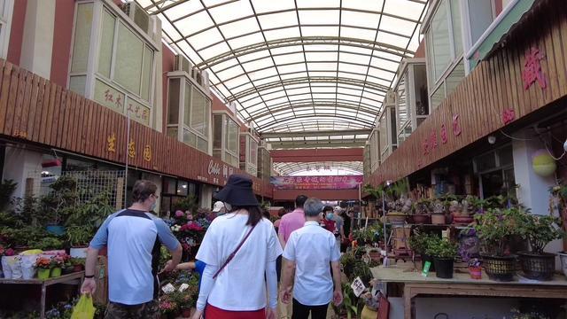 上海最大的花鸟市场在什么地方