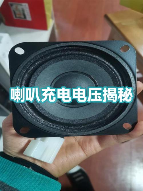 喇叭供电是多少伏图标