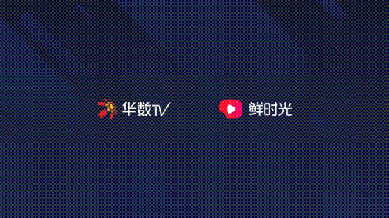 西瓜TV电视版安装包图标