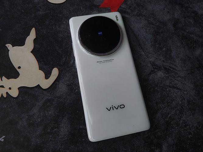 vivox100像素多少图标