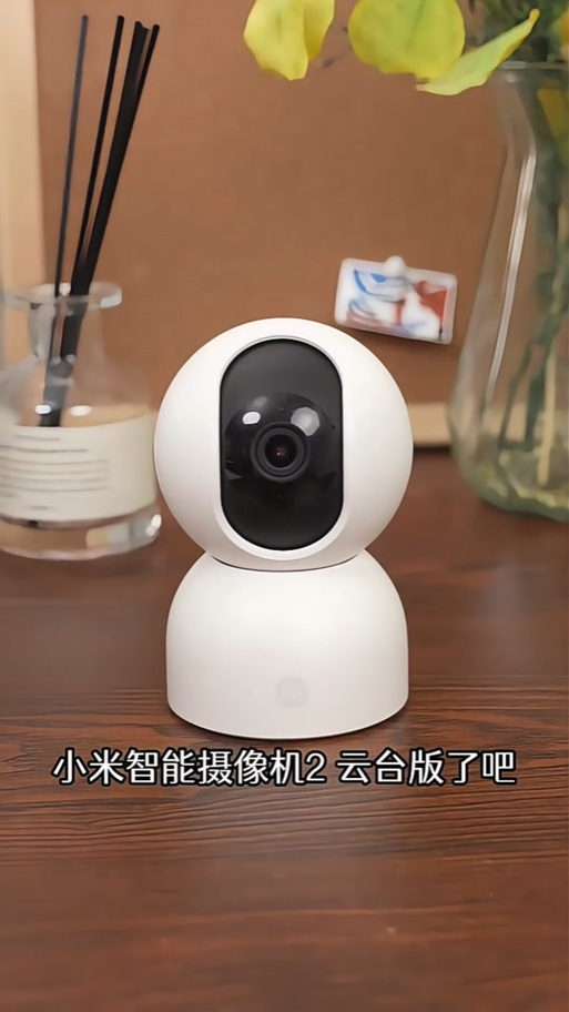 小米摄像头云台2的回看如何删除图标