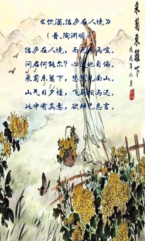 叶菲 东篱菊隐截图