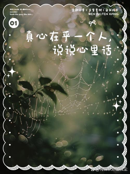 真心在乎一个人的网名截图