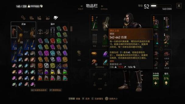 巫师3湖女之剑附魔图标