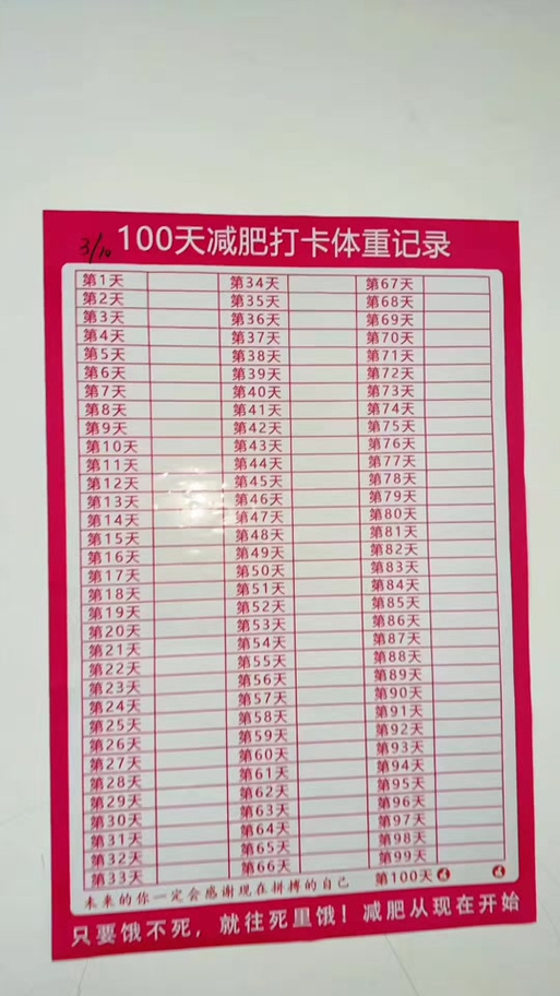 100天减肥计划表打印图标