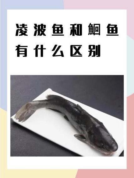 ≌和≃有什么区别图标