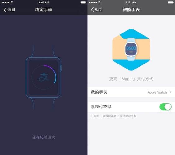 苹果手表支付宝离线支付金额设置图标