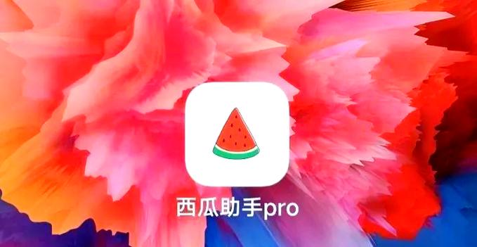 西瓜助手pro解锁永久vip版