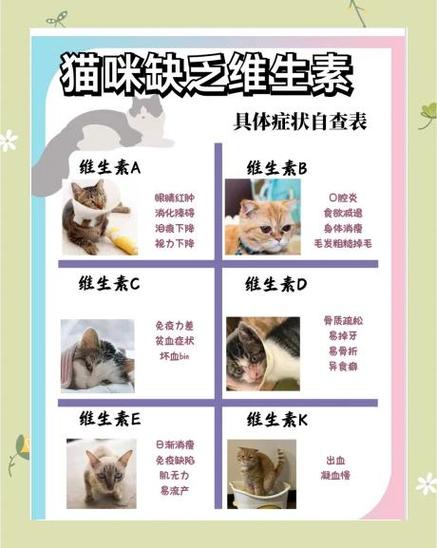 猫咪突然不活泼了图标