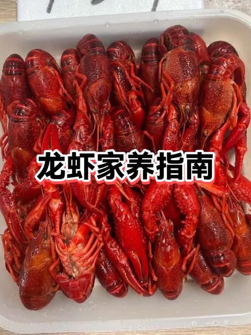 龙虾店加盟品牌排行榜图标