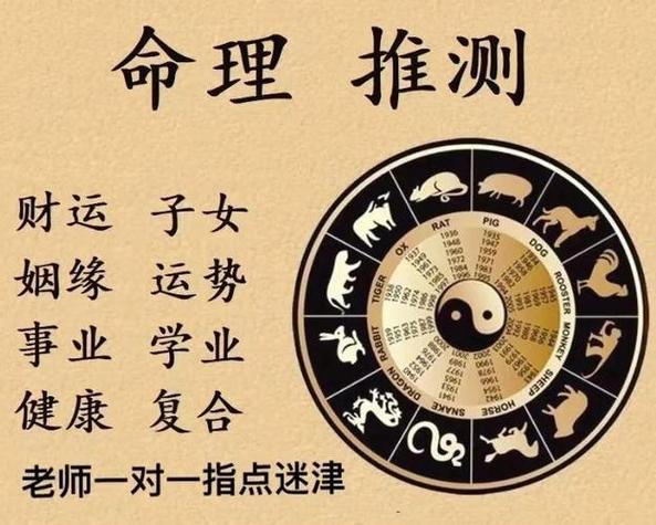 陈若琳的八字很厉害图标