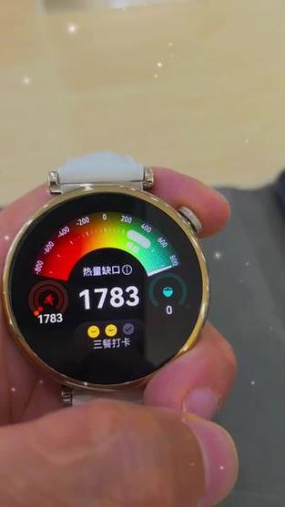 华为手表上的热量标准多少截图