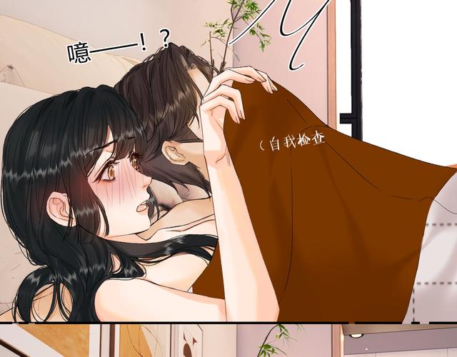 醉青山txt在线阅读图标