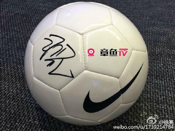 章鱼体育tv图标