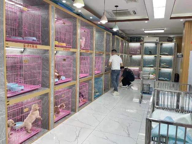 宠物店买一只宠物能赚多少图标