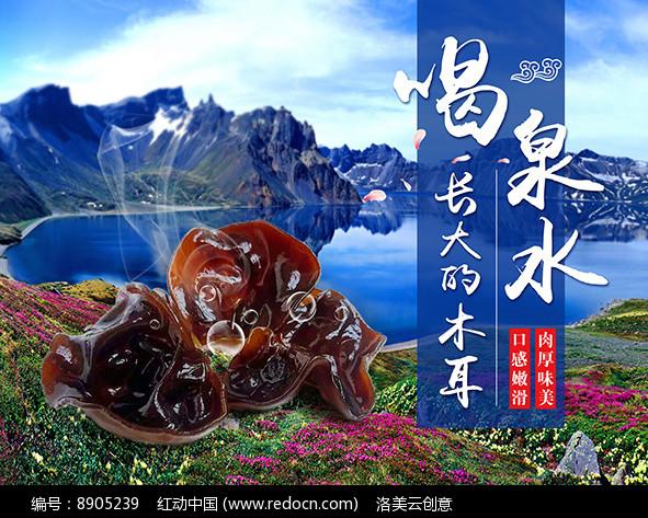 生态木耳宣传广告