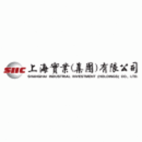 上海将来实业股份有限公司图标