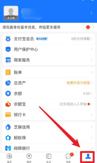 支付宝绑定卡历史记录怎么查图标