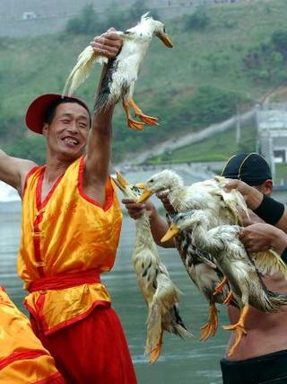 人抓鸭子图标