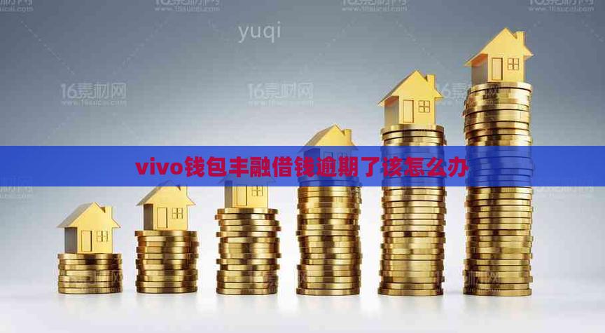 vivo钱包丰融借钱官网图标