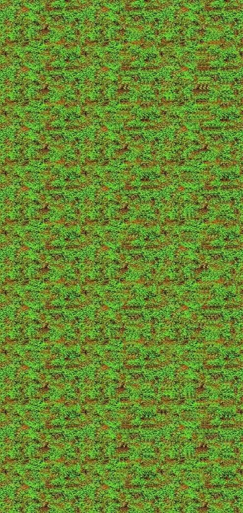 3D藏机图截图