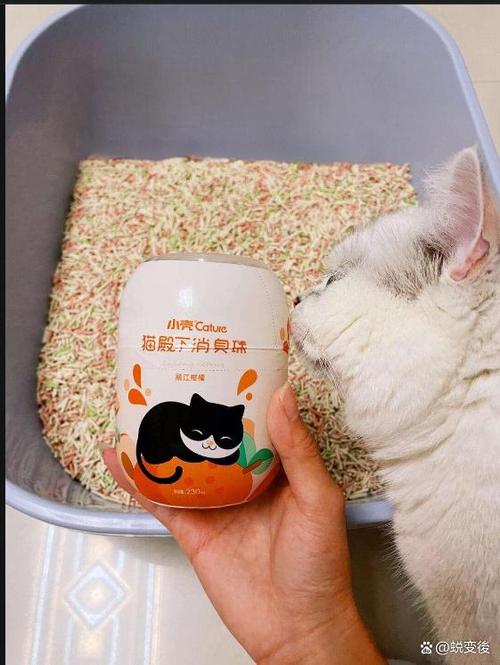 养猫屋里臭气熏天怎么去除截图