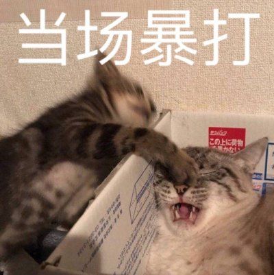 暴打对方的表情包