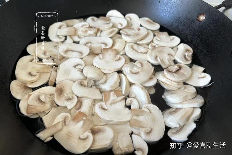口蘑梗是啥意思图标