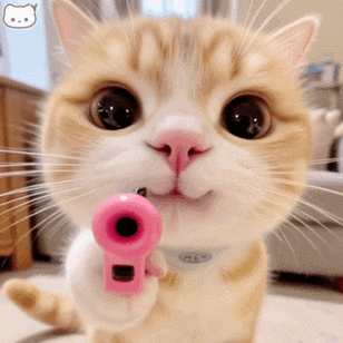 猫动图表情包gif图标
