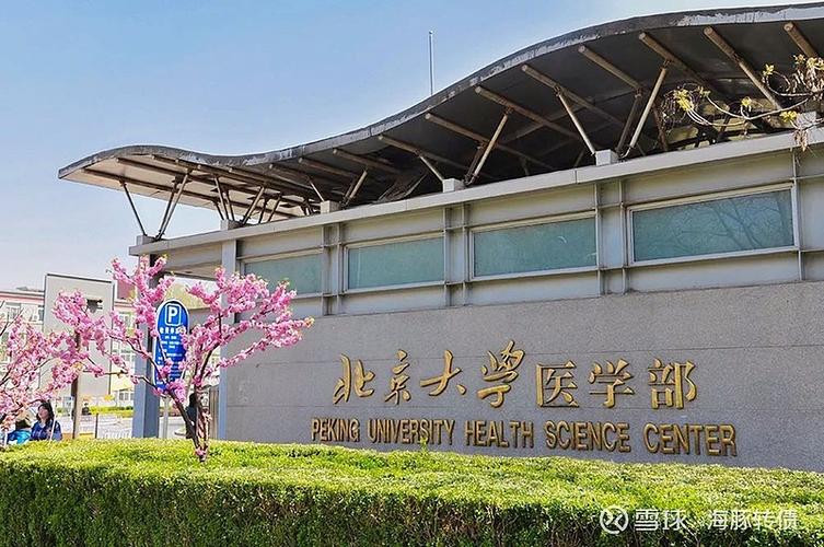 张雪峰谈北京大学医学部