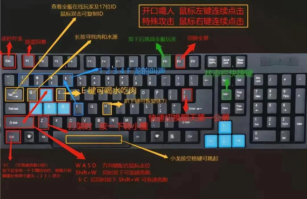 csgo控制台在哪图标